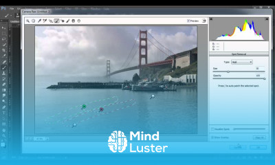Learn Photoshop CC Tutorials - Mind Luster