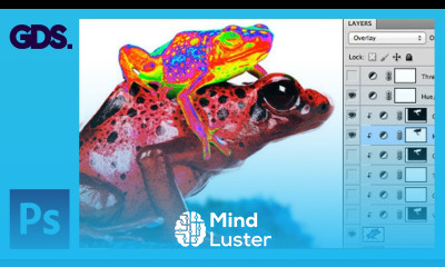 Learn Adjustment Layers In Adobe Photoshop How To Use Them Why - Mind Luster