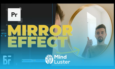 Learn Mirror Reflection Effect Adobe Premiere Pro - Mind Luster