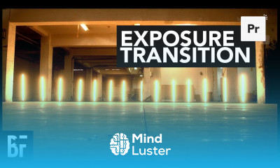 Learn Exposure Flash Transition Premiere Pro - Mind Luster