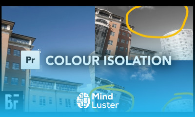 Learn Colour Isolation Effect Colour Splash Premiere Pro 2021 - Mind Luster