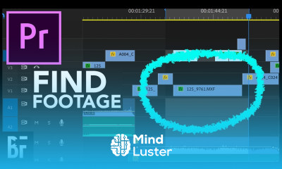 Learn How to Find Your Media in Premiere Pro - Mind Luster