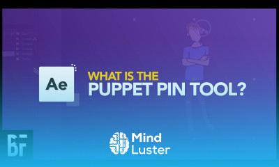 Learn What is the Puppet Pin Tool After Effects Tutorial - Mind Luster