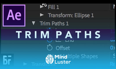 Learn The Basics of Trim Paths in After Effects - Mind Luster