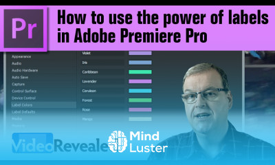 Learn How to use the power of labels in Adobe Premiere Pro - Mind Luster