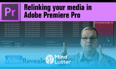 Learn Relinking your media in Adobe Premiere Pro - Mind Luster