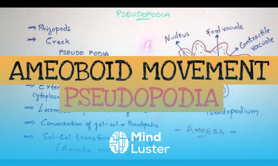 Learn PSEUDOPODIA AMOEBOID MOVEMENT GEL SOL THEORY BY PHANINDRA GUPTHA ...