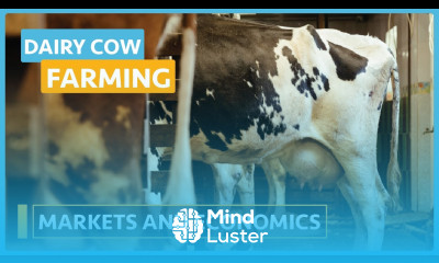 Learn Dairy Cow Course Lesson 21 Markets Economics - Mind Luster