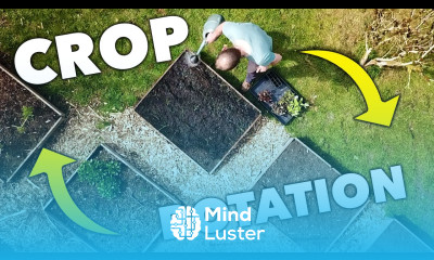 Learn The Step By Step Guide to Crop Rotation - Mind Luster