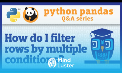 Learn How do I apply multiple filter criteria to a pandas DataFrame - Mind Luster