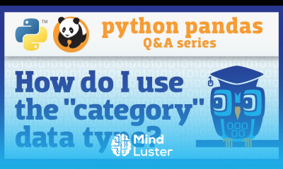 Learn How do I make my pandas DataFrame smaller and faster - Mind Luster