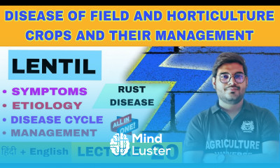 Learn Rust disease in Lentil Lentil disease - Mind Luster