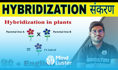 Learn define hybridization संकरण what is hybridization hybridization in ...