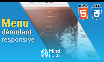 Learn Astuce 7 Menu déroulant responsive sans Javascript - Mind Luster