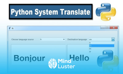 Learn Python System Translate Sytème de traduction en Python - Mind Luster