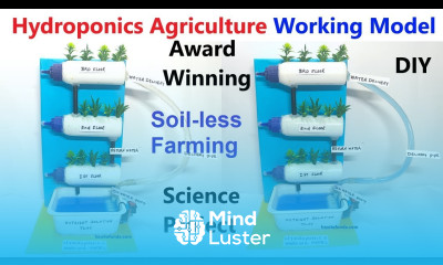 Hydroponics agriculture working model for science project - Mind Luster