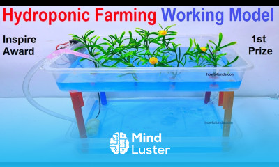Hydroponics agriculture working model for science project - Mind Luster