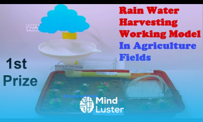 Hydroponics agriculture working model for science project - Mind Luster
