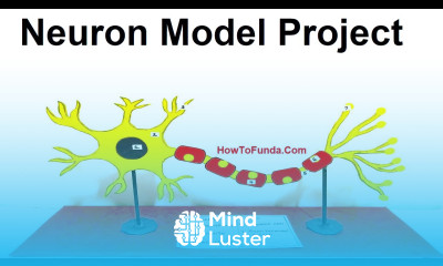 Learn neuron model project for science fair exhibition 3D howtofunda ...