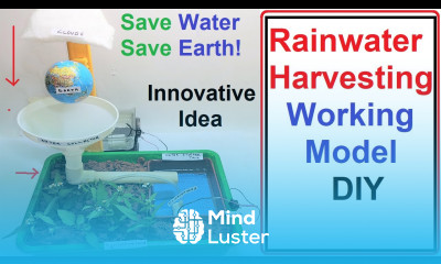 Learn Rainwater harvesting working model inspire award science project to save water DIY ...