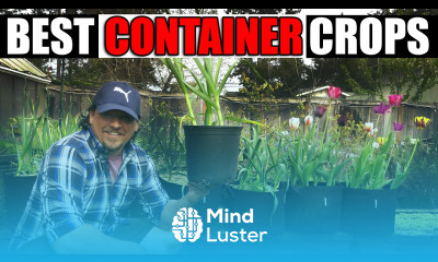 Learn Top 7 Container Veggies For Beginners Garden Quickie Episode 142