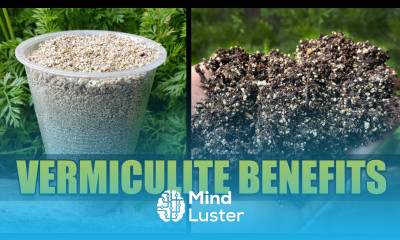 Learn Benefits of Vermiculite Garden Quickie Episode 48 - Mind Luster