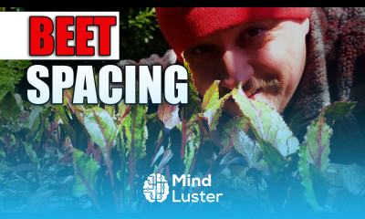 Learn Beet Spacing 101 Garden Quickie Episode 55 - Mind Luster