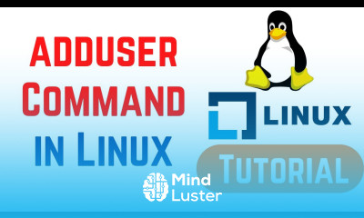 Learn Linux Command Line Basics Tutorials How to Add Users and Create Users with useradd - Mind ...