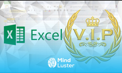 Learn Excel VIP O curso Completo de Excel - Mind Luster